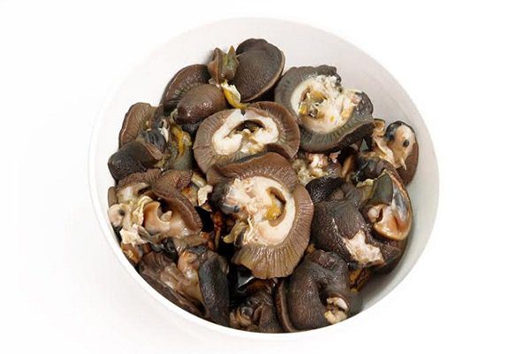 Snail Farming: All You Need To Know | Afrimash.com - Nigeria