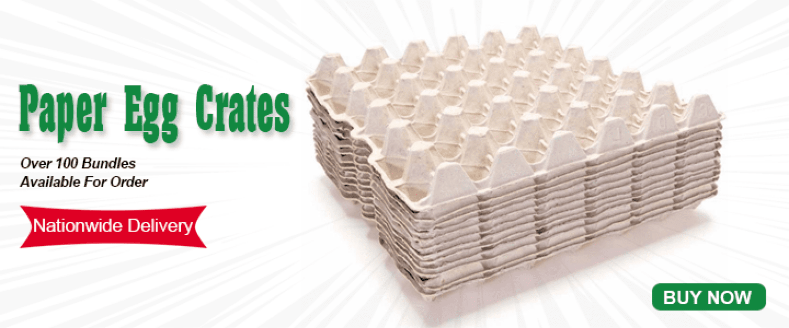 Layers Farming: 6 Easy Ways To Manage A Drop In Egg Production ...