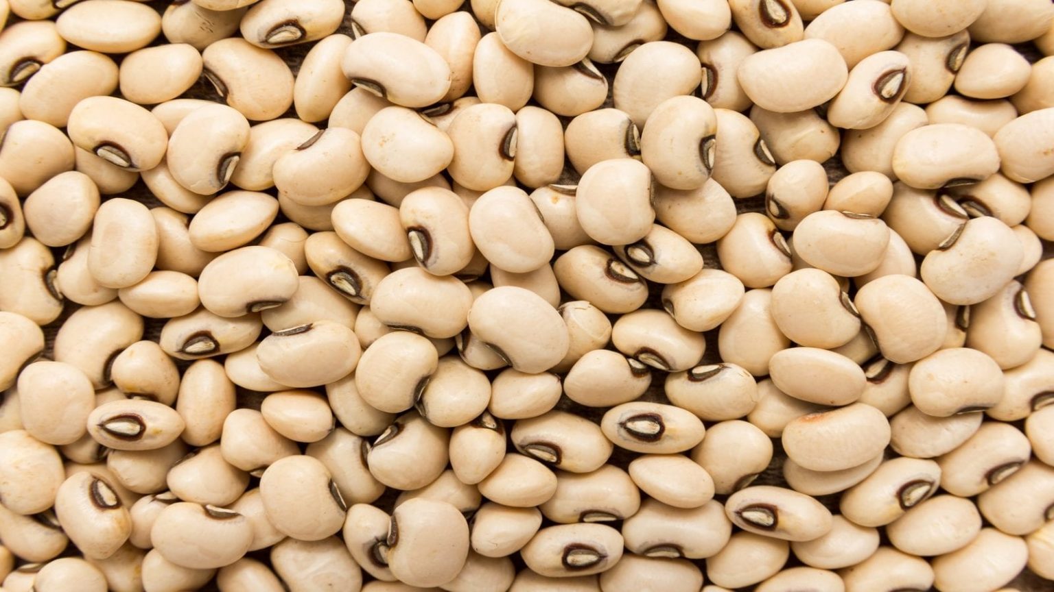 Buy Cowpea Seeds | Per Kg Online In Nigeria At ₦6,000.00 | 3–7-Day ...