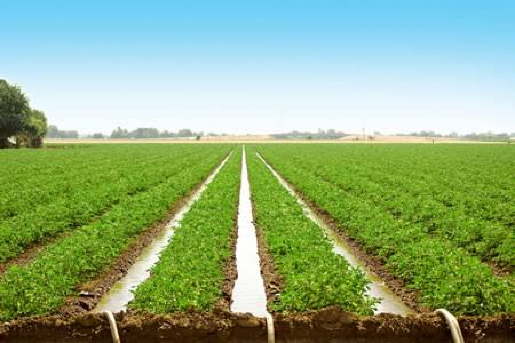 Why Your Farm Needs An Efficient Irrigation System | Afrimash.com - Nigeria