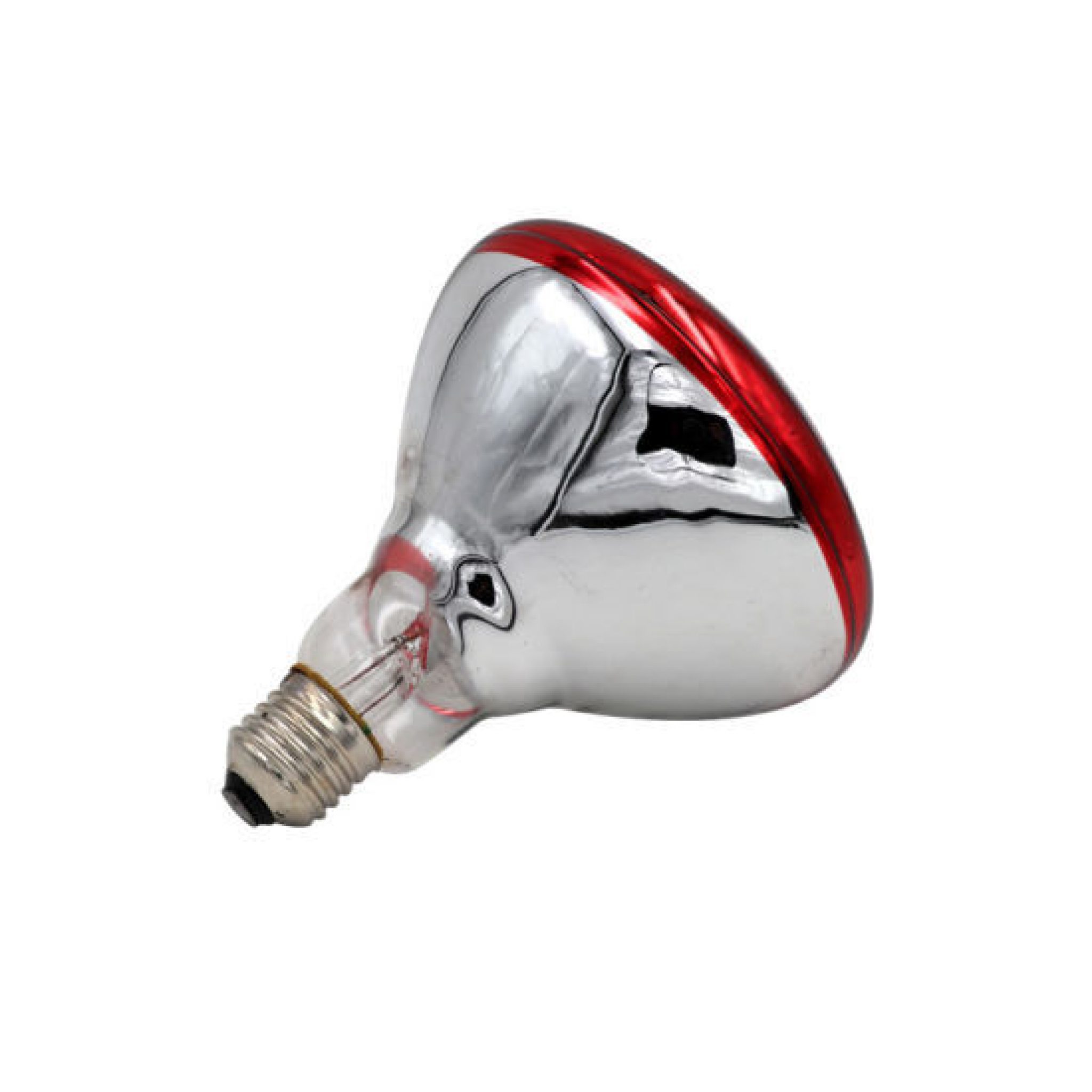 7 Benefits Of Using Infrared Brooding Bulbs In Poultry | Afrimash.com ...