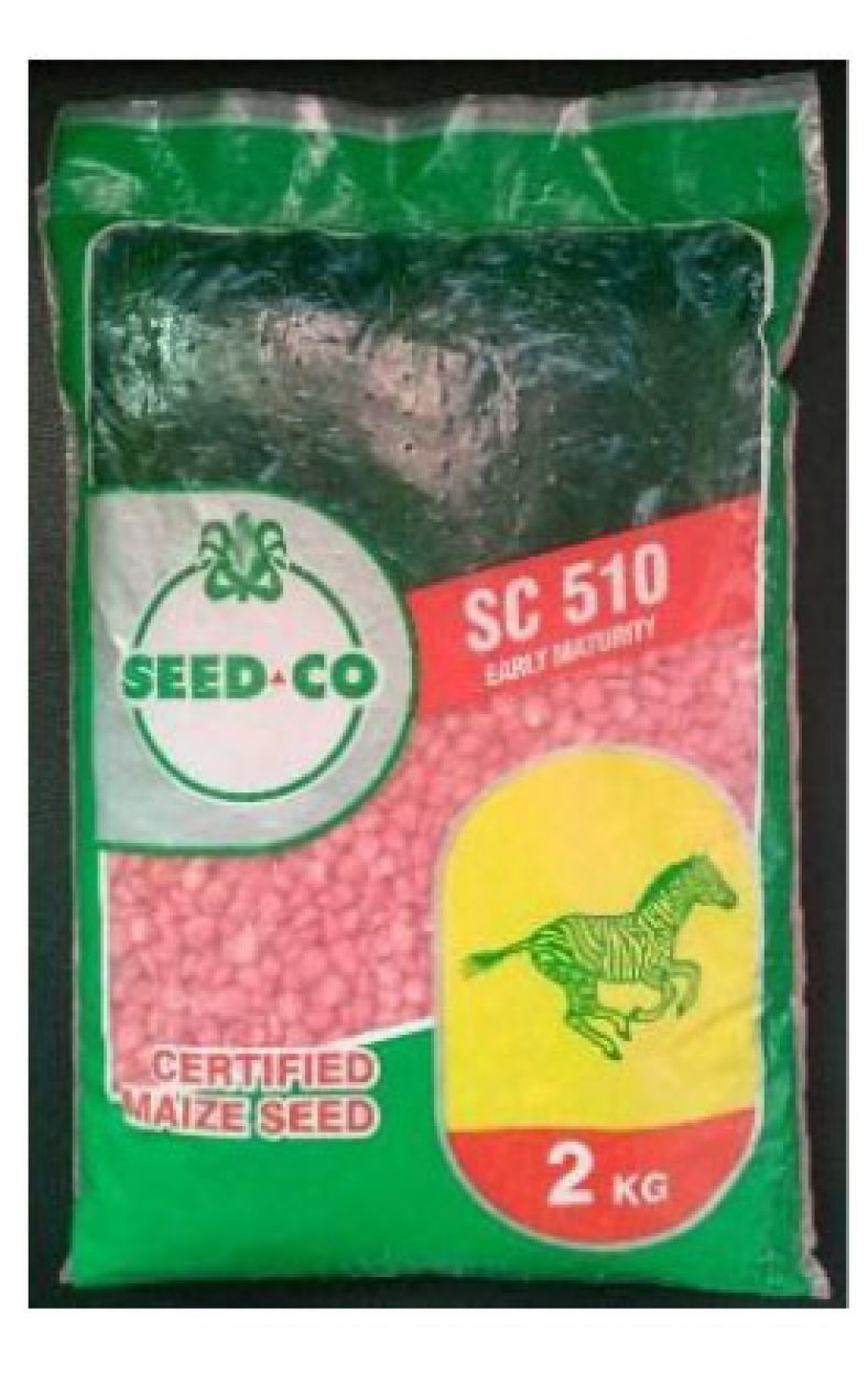 Buy Seed Co Maize Hybrid Seeds Online In Nigeria At ₦0.00 | 3–7-Day ...