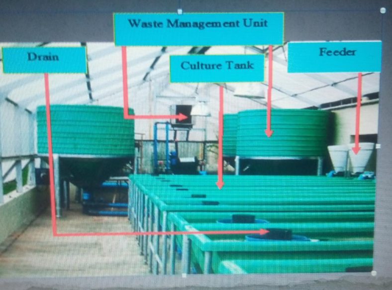Fish Farming: Setting Up An Aquaculture System | Afrimash.com - Nigeria