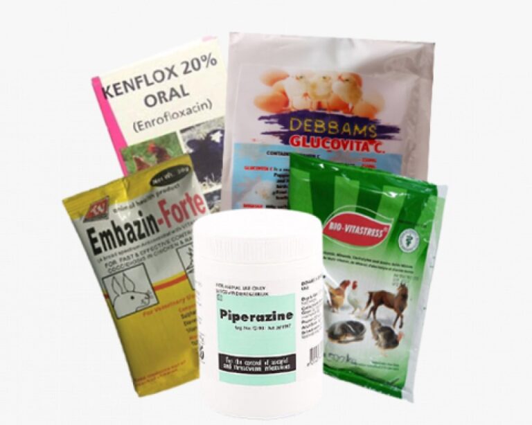 Common Poultry Diseases During The Rainy Season - Signs, Prevention ...