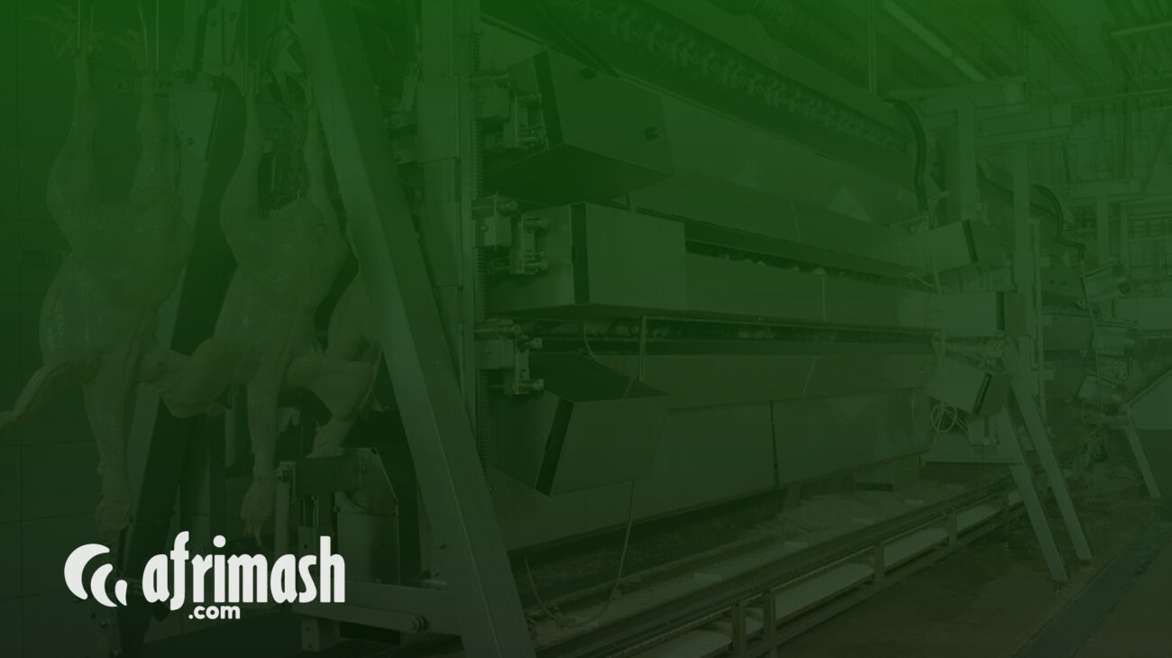 11 Benefits Of Using Defeathering Machines | Afrimash.com - Nigeria