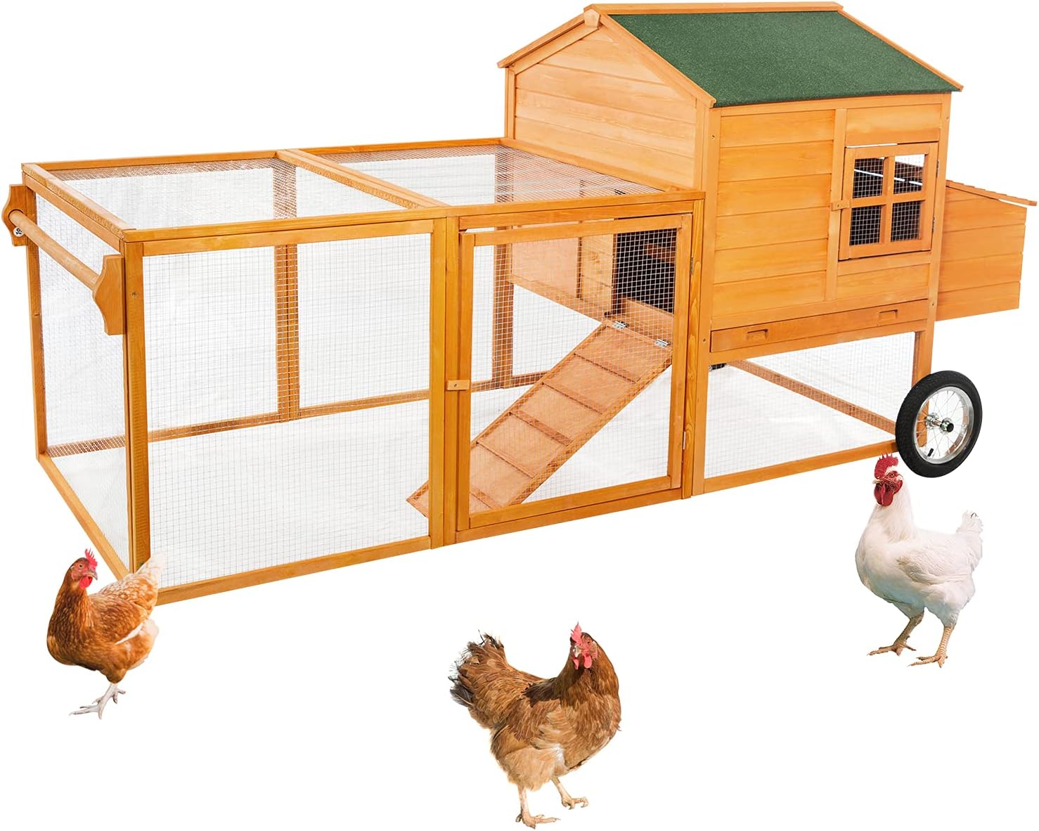 Beating The Heat: Expert Tips To Keep Your Poultry Cool And Productive ...