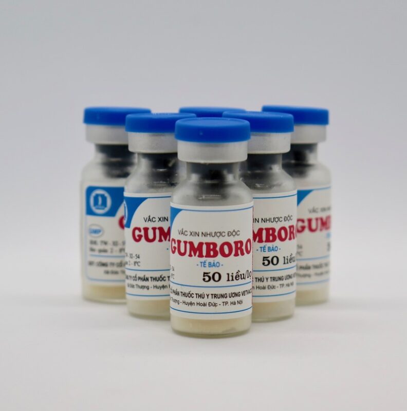 Gumboro Vaccines: A Key Defence Against Infectious Bursal Disease ...